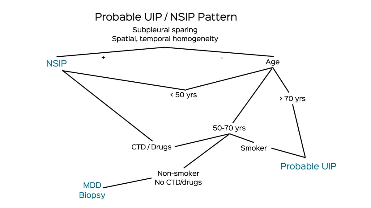 Snippet 04: Fibrotic NSIP vs Probable UIP