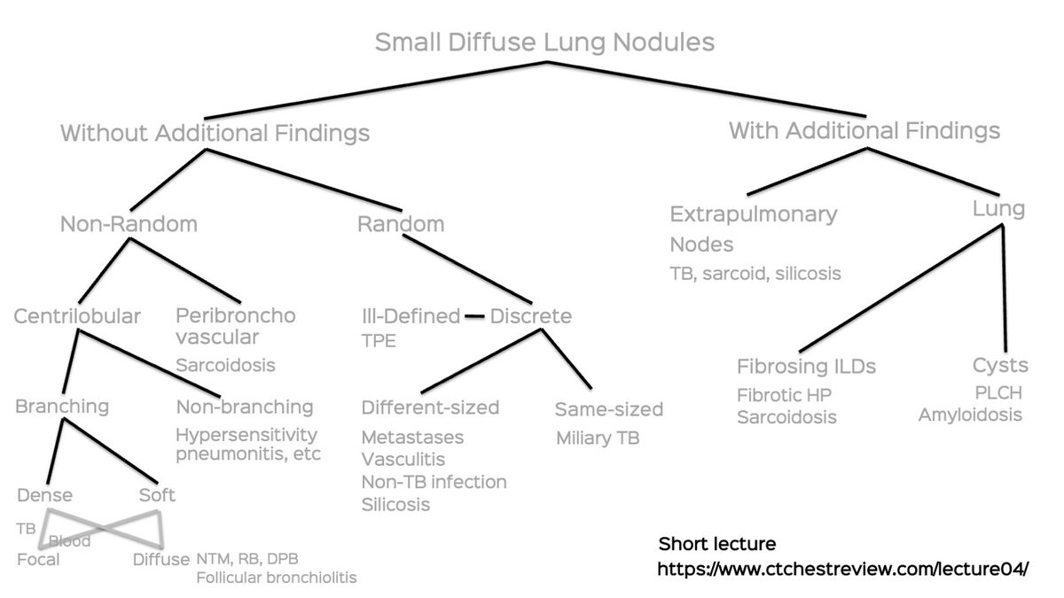 Approach to Small Diffuse Lung Nodules - Lecture