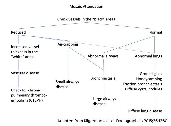 Snippet 04: Fibrotic NSIP vs Probable UIP